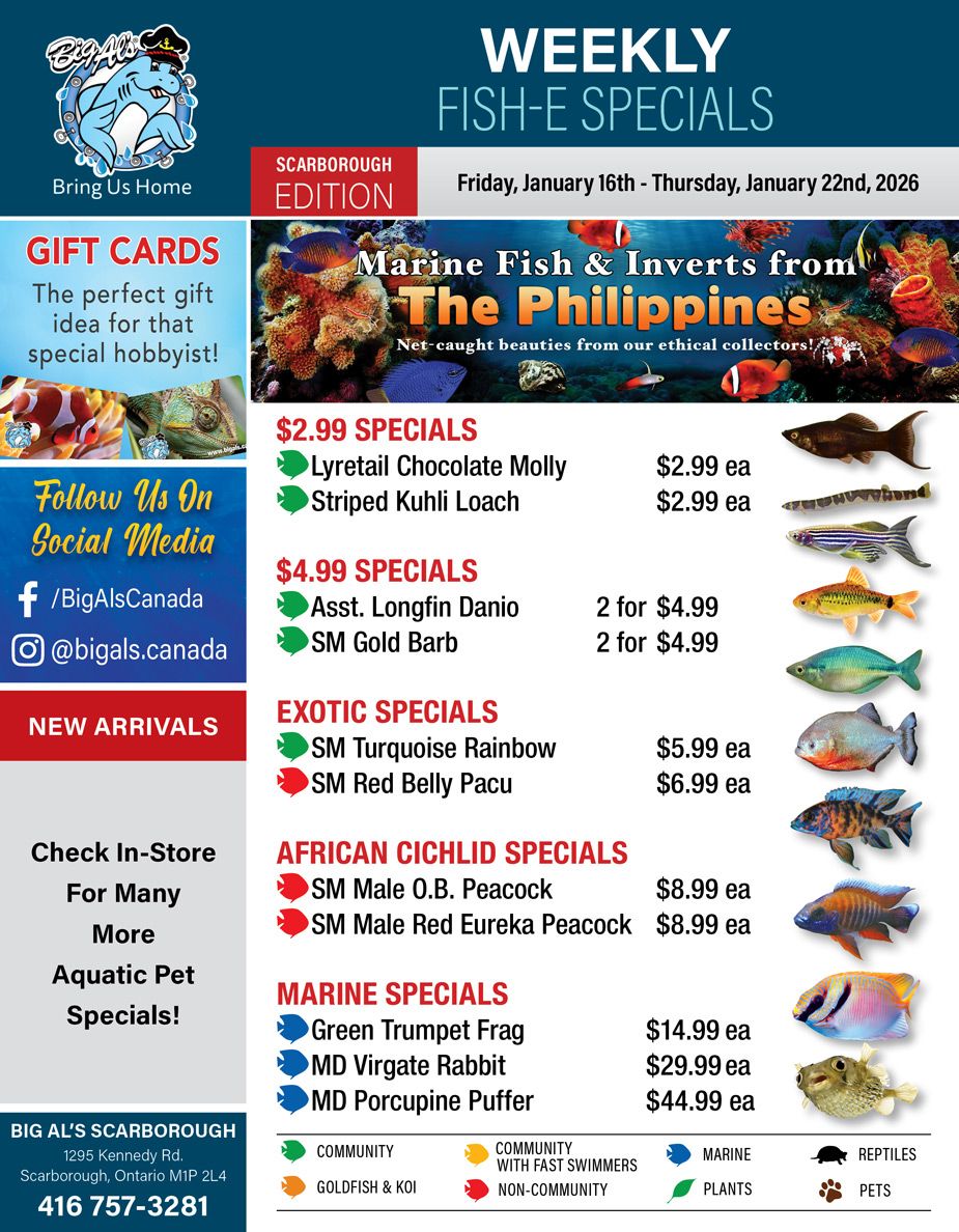 Big Al's (Scarborough) Weekly Specials January 16 to 22